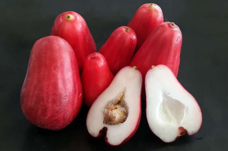 Ahia tahiti, la pomme d’eau, Jamalac - Tahiti Heritage